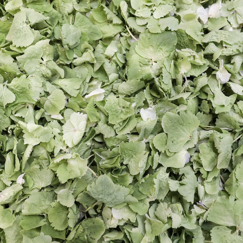 Green Flower Petal Decor - Etsy UK