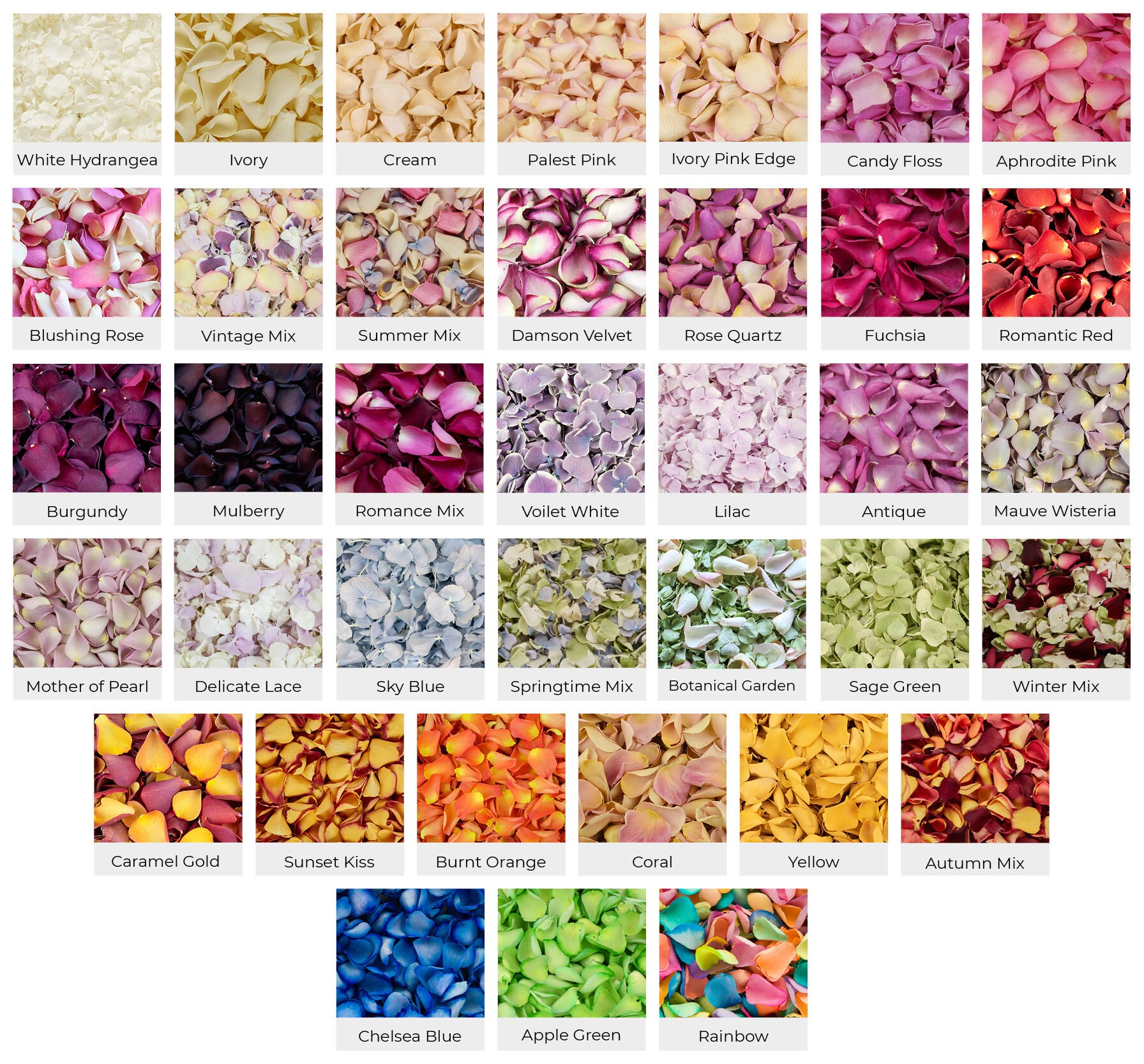 2 Litre of Memorial Funeral Petals Biodegradable Freeze - Etsy UK