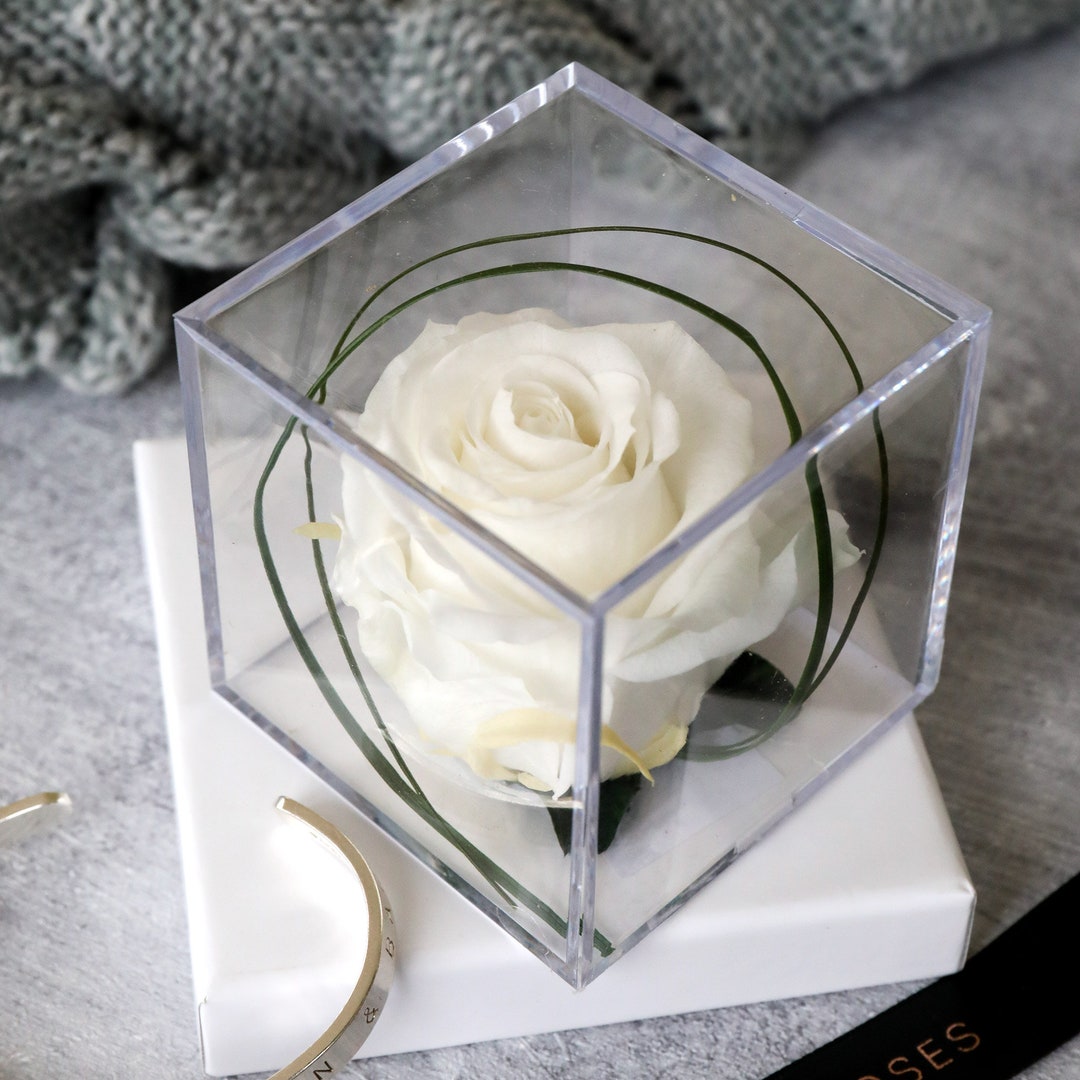Luxury White Forever Rose Cube Gift Timeless Preserved Infinity 1 Year ...
