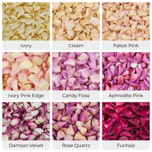 1 Litre of Memorial Funeral Petals Biodegradable Freeze - Etsy