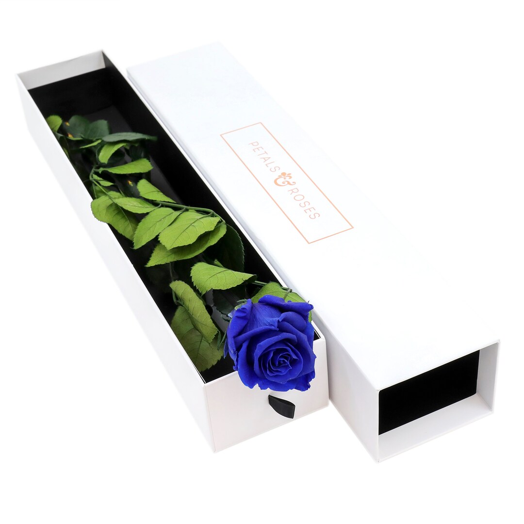 Royal Blue Forever Rose in Luxury Gift Box | Infinity Rose That Last a ...