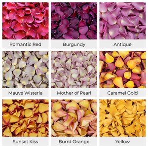 2 Litre of Memorial Funeral Petals Biodegradable Freeze Dried Real Rose ...