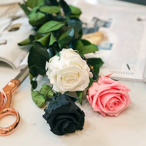 Black Forever Single Rose in a Gift Box Real Infinity Roses - Etsy UK