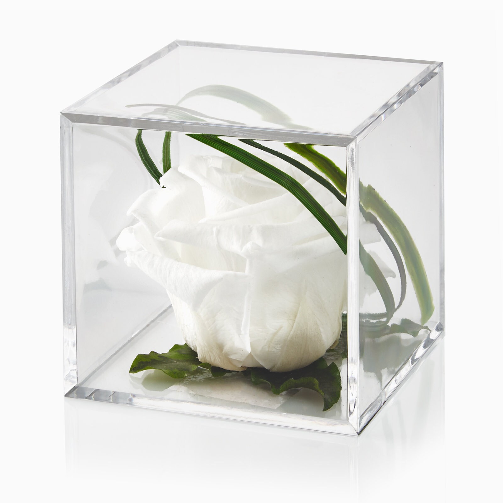 Luxury White Forever Rose Cube Gift Timeless Preserved - Etsy UK