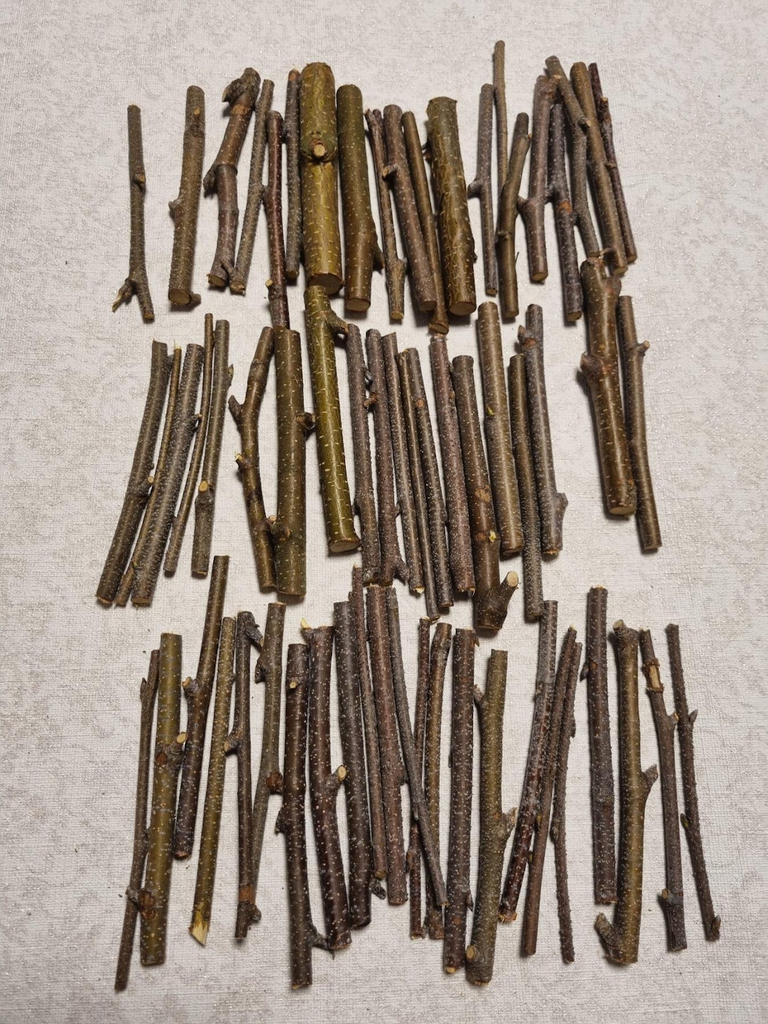 Small Birch Twigs – 60 Pack, 4 Inch Wood Sticks for Crafts - Etsy