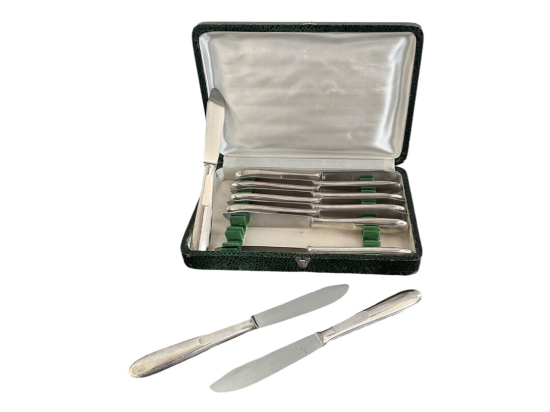 Vintage, Knife Set, SFAM INOX, 12 Place Settings, Silvering Weight ...