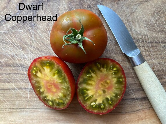 Dwarf Copperhead Tomato Seeds | Etsy