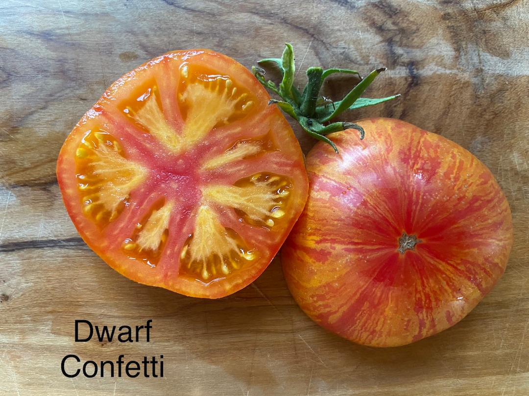 Dwarf Confetti Tomato Seeds - Etsy