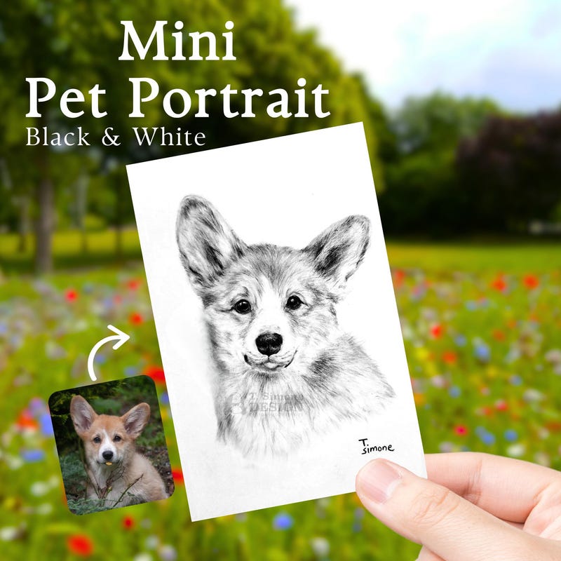 Mini Dog Pencil Drawings - Etsy