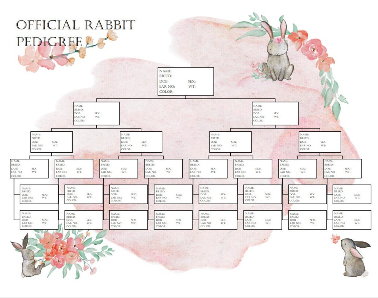 Rabbit Pedigree Instant PDF Download With Bonus Breeding Log (+bonus ...