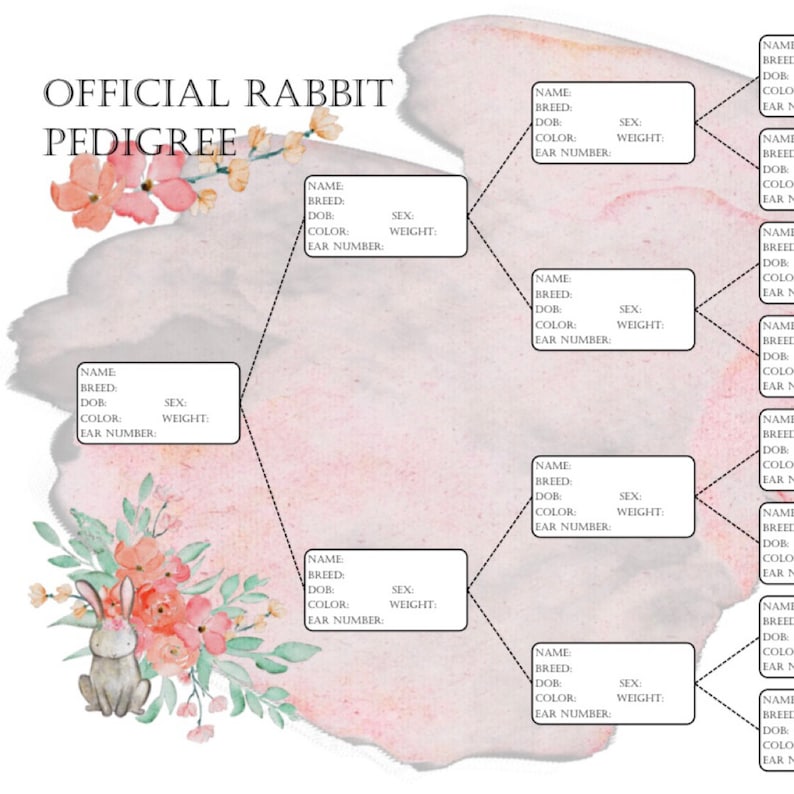 Rabbit Pedigree Instant PDF Download With Bonus Breeding Log (+bonus ...