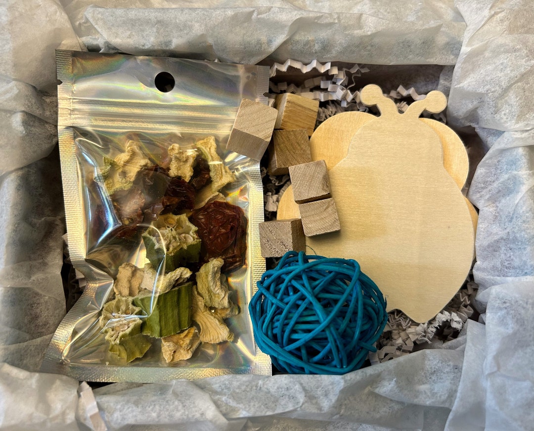 Rabbit Treat Box Foraging Box With Toys and Organic Treats - Etsy