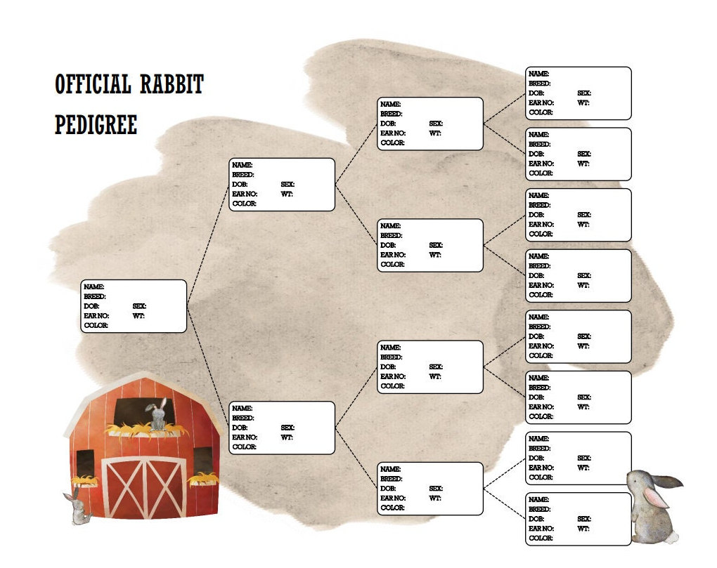 Rabbit Pedigree Instant PDF Download - Barn - Includes Bonus Breeding ...