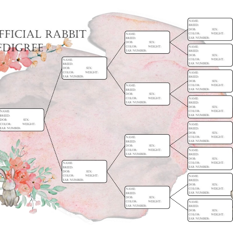 Pedigree Chart - Etsy