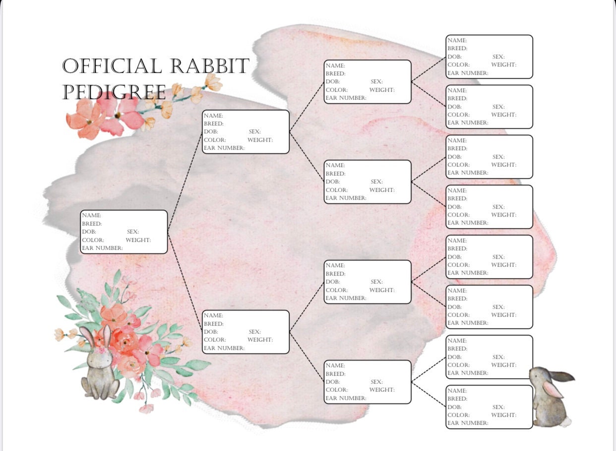 Printable Rabbit Pedigree Template Ubicaciondepersonas cdmx gob mx