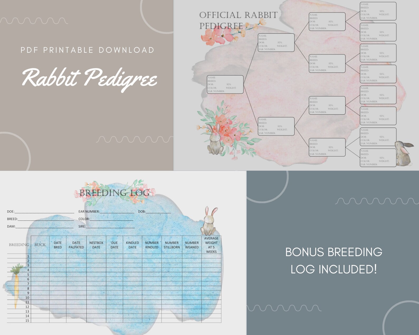 Rabbit Pedigree Instant PDF Download With Bonus Breeding Log (+bonus ...