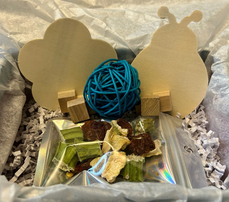 Rabbit Treat Box Foraging Box With Toys and Organic Treats - Etsy