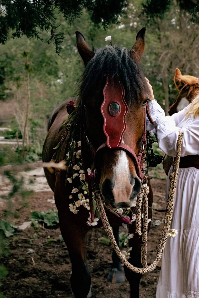 Fantasy Headpiece for Bridles Chamfron Side-pulls Browband - Etsy