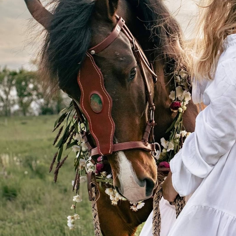 Medieval Horse Tack - Etsy