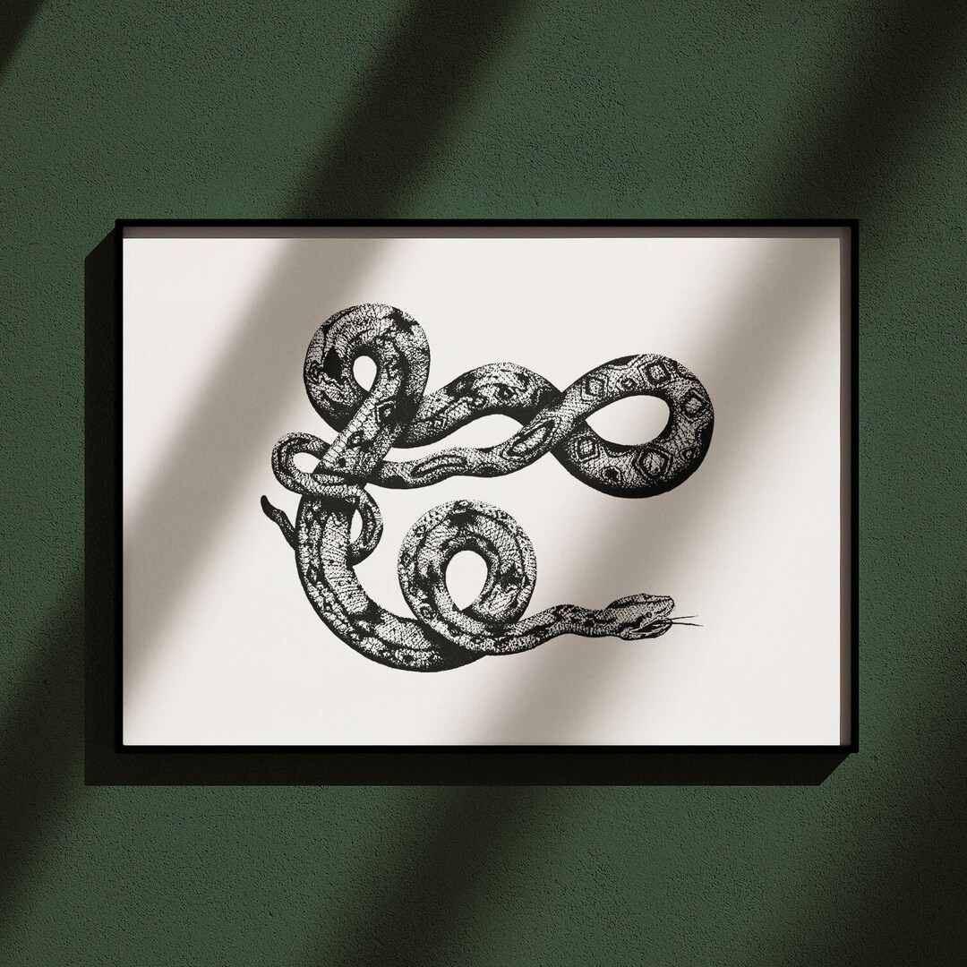 PYTHON SNAKE Art Print A4 A3 Nature Illustration Home Decor Gift ...
