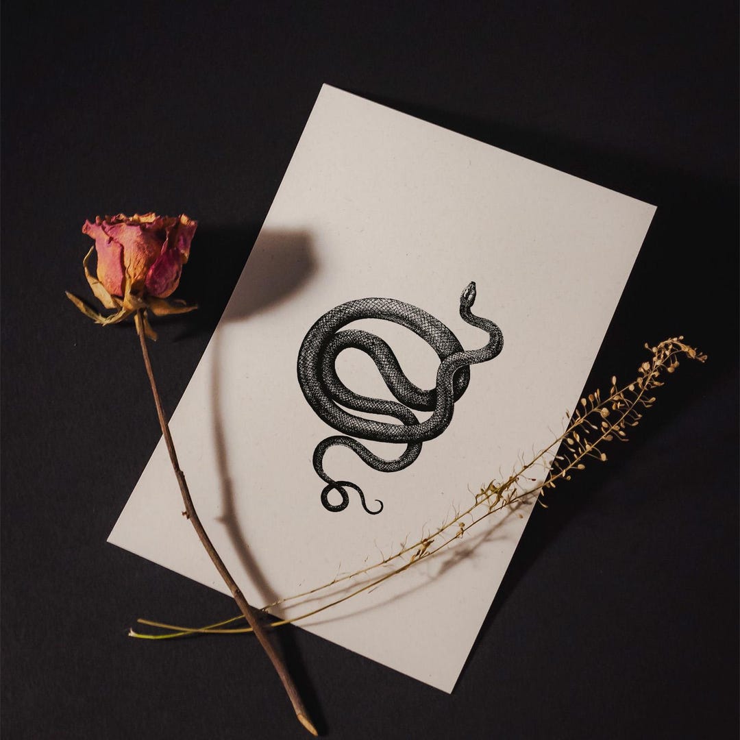 Black Mamba Snake Art Print A5 A4 A3 Nature Illustration Home Decor ...