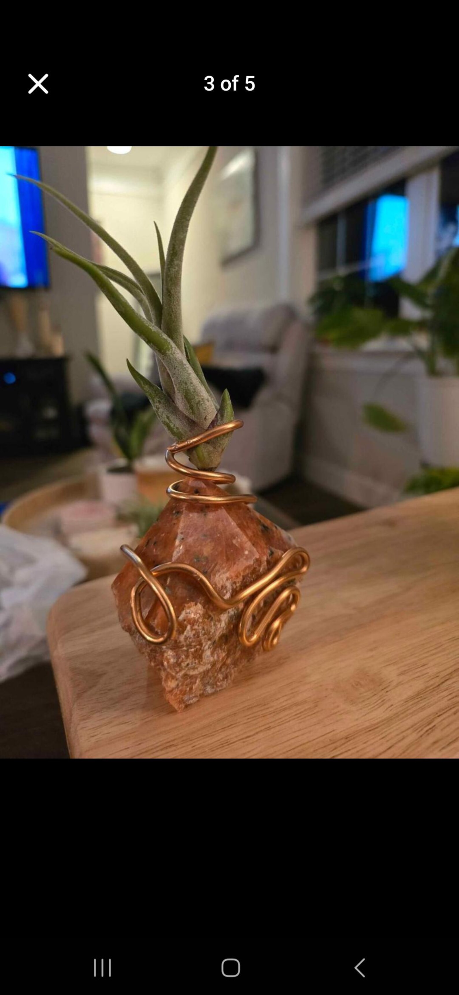 Wire Wrapped Crystal Air Plant Holder - Etsy