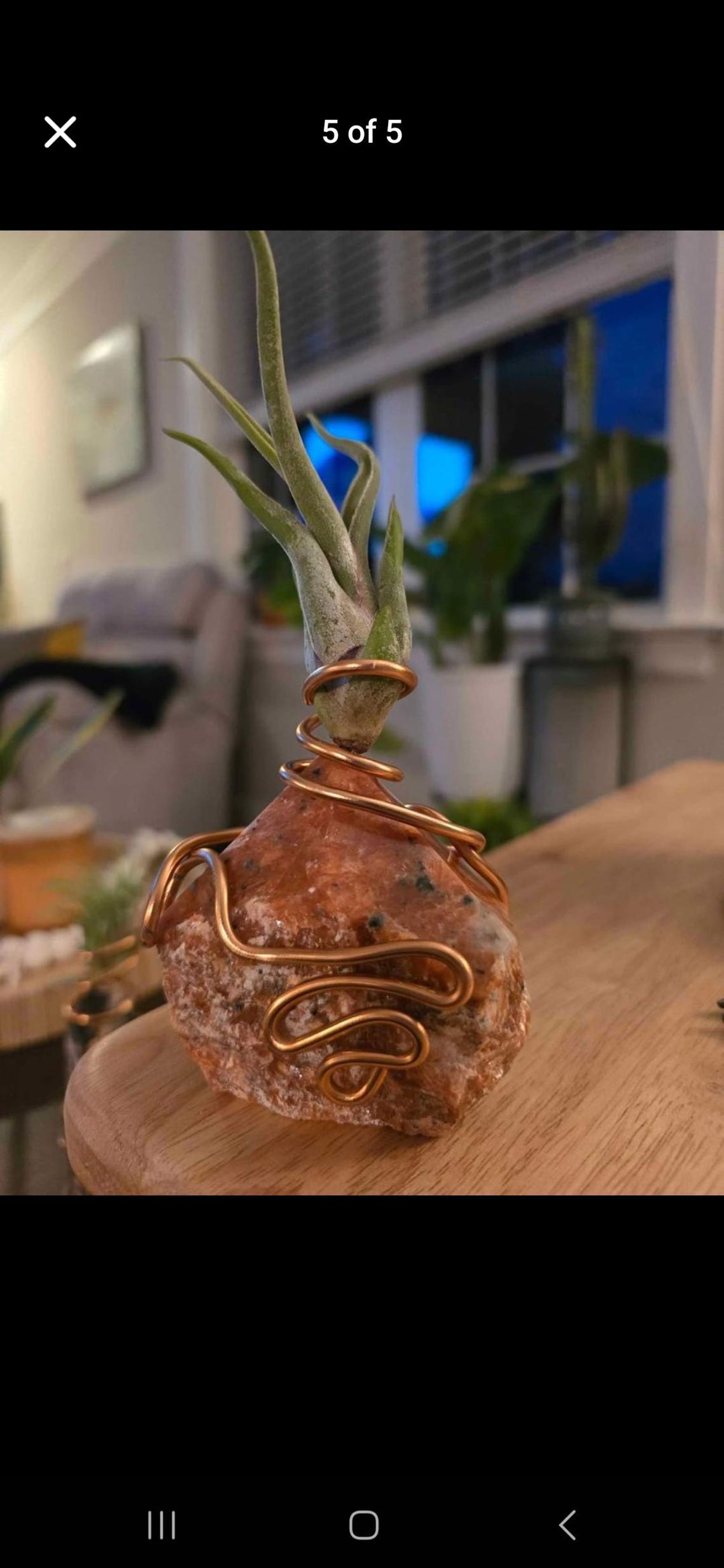 Wire Wrapped Crystal Air Plant Holder - Etsy