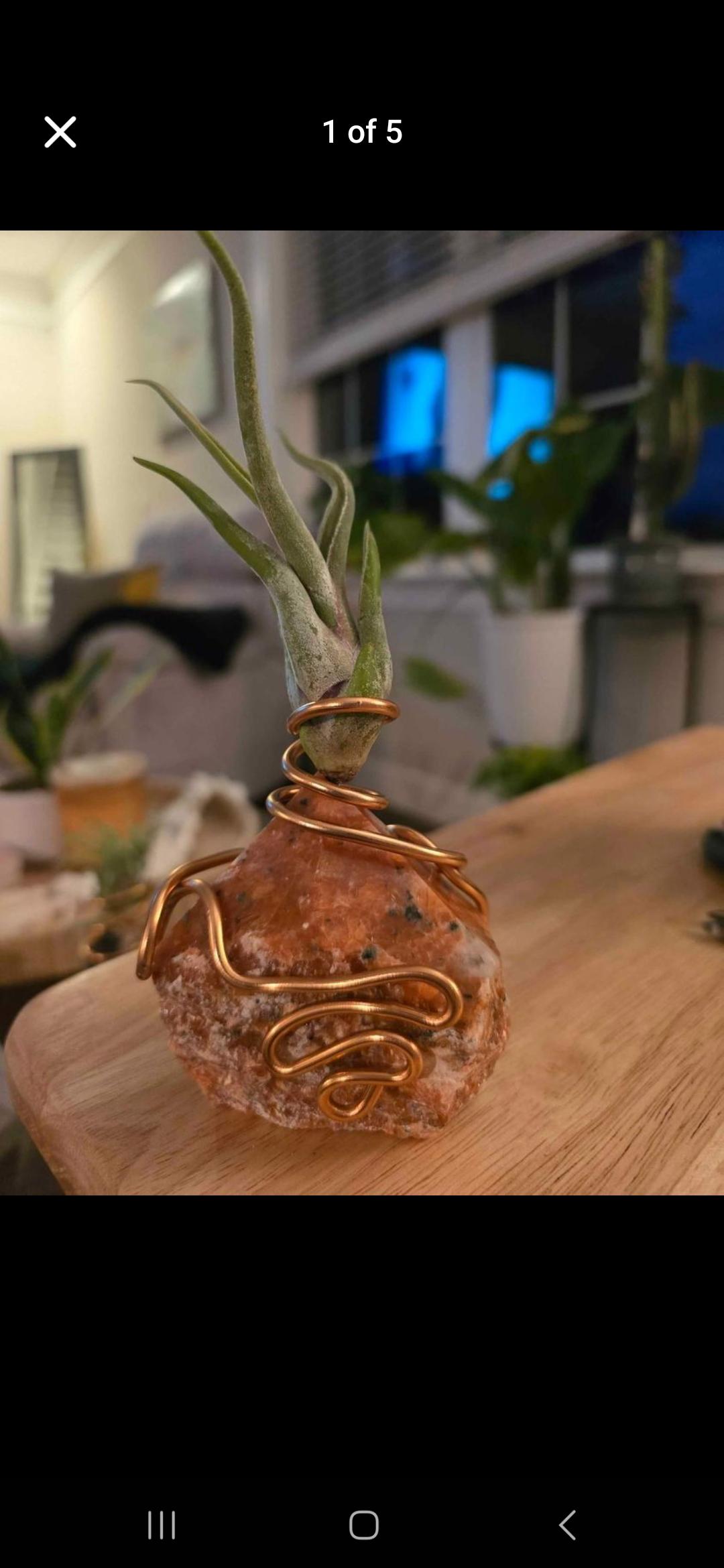 Wire Wrapped Crystal Air Plant Holder - Etsy
