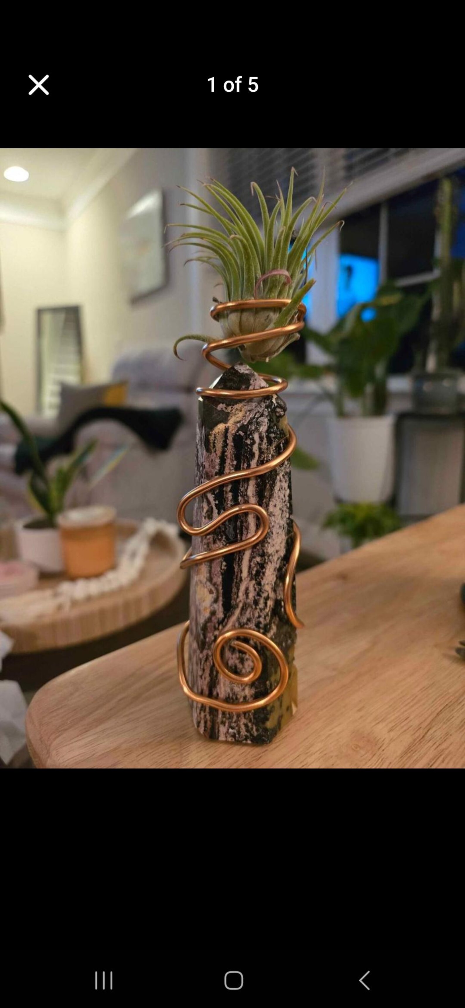 Wire Wrapped Crystal Air Plant Holder - Etsy