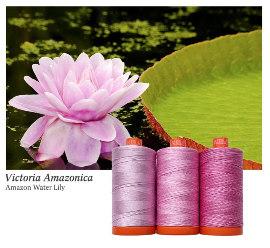 Water Lily Color Builder Thread Set Aurifil AC50CP3-017 Aurifil Thread ...