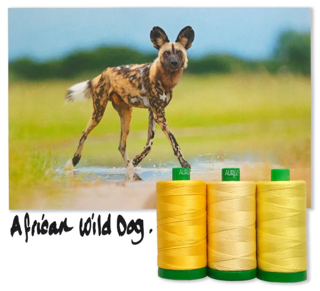 African Wild Dog Color Builder Thread Set Aurifil AC40CP3-009 Aurifil ...