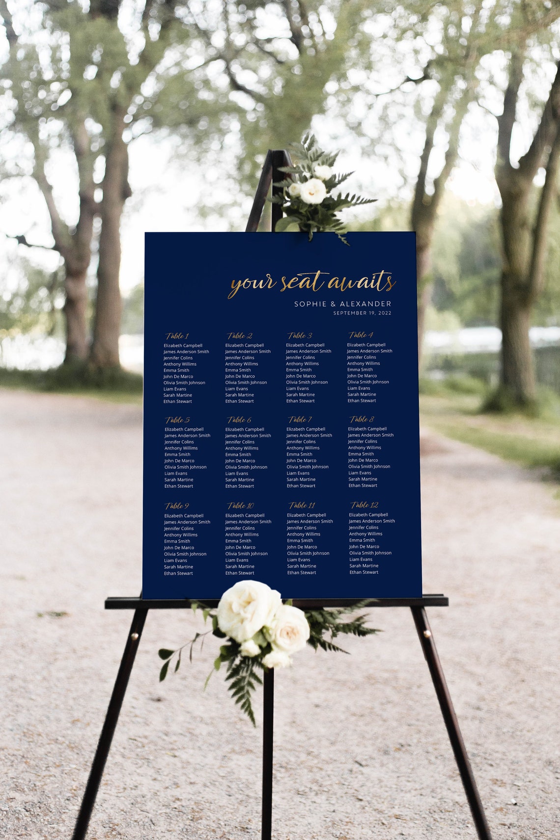 Navy and Gold Seating Chart Seating Chart Navy Instant - Etsy