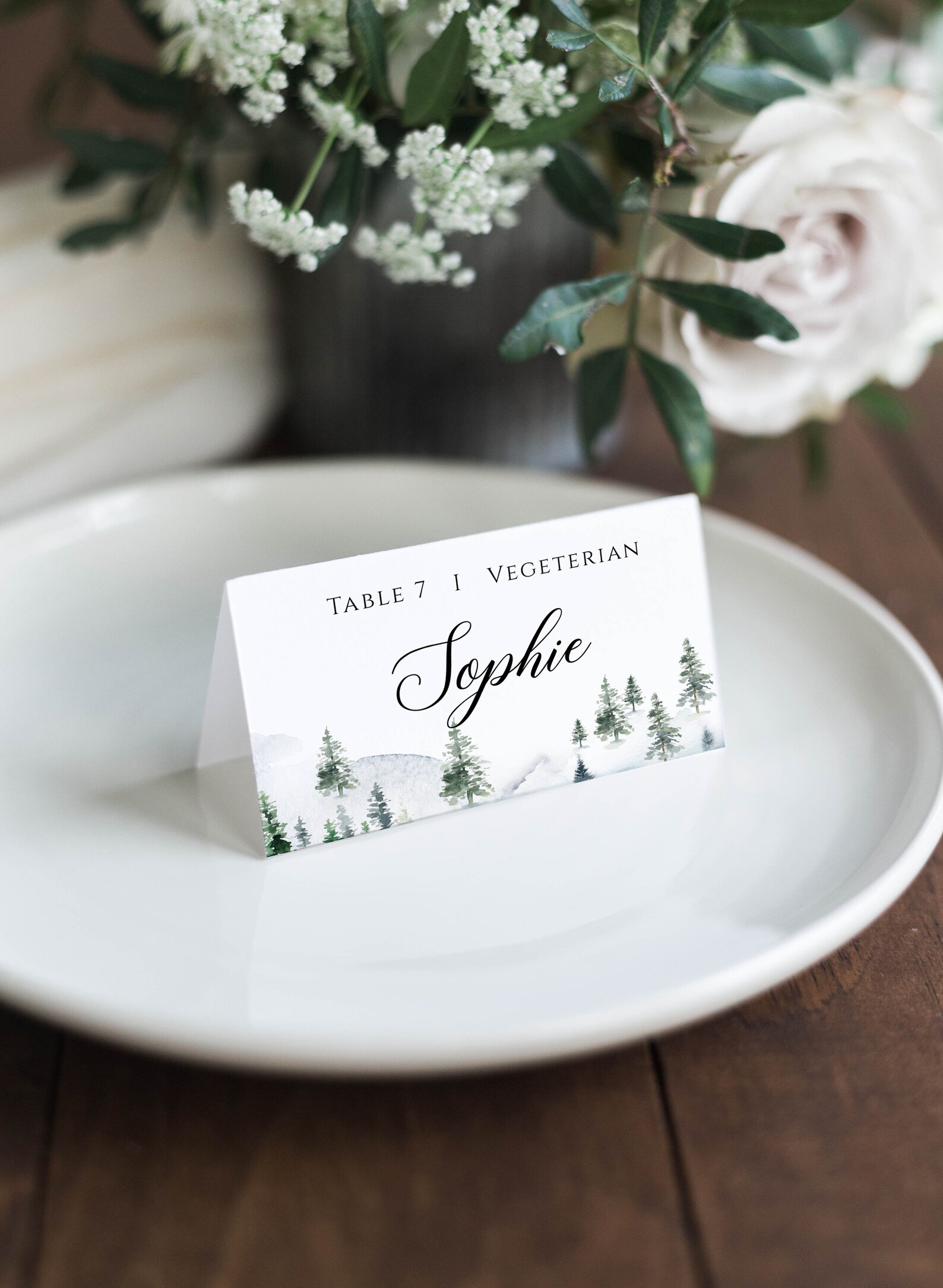 Christmas Place cards template Christmas place cards Name | Etsy