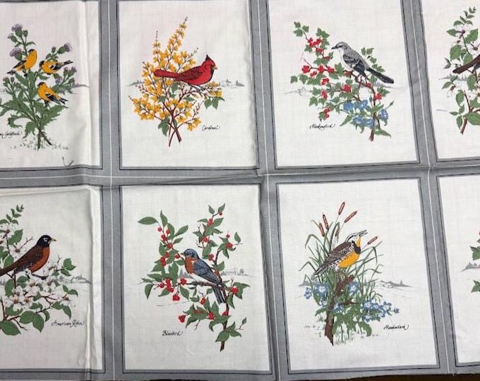 American Birds Multi – Continuous Block Fabric (limited Stock) - Etsy