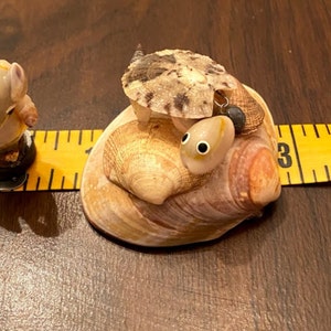 Shaking Turtle With Friend - Etsy