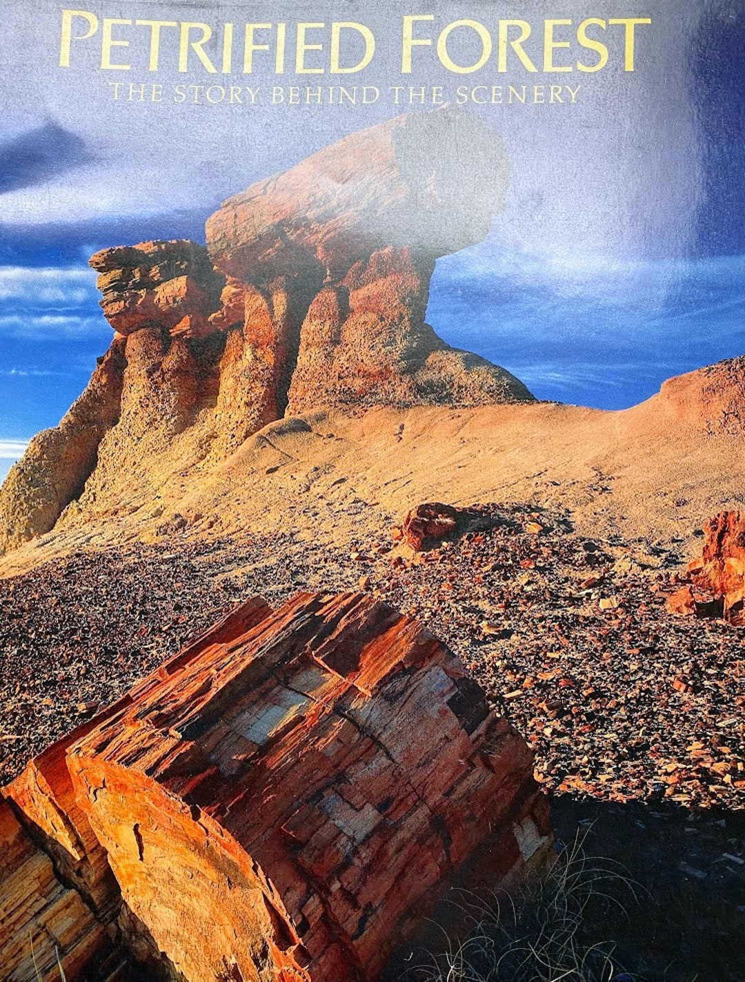 Petrified Forest Book - Etsy