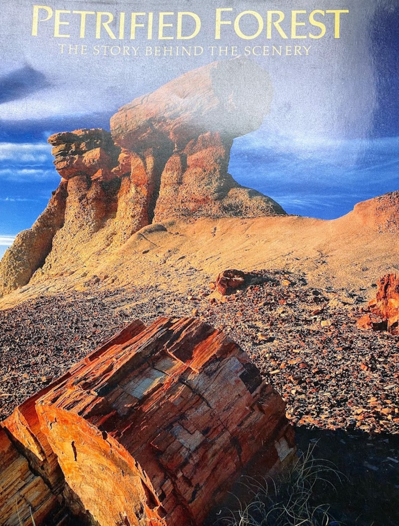 Petrified Forest Book - Etsy