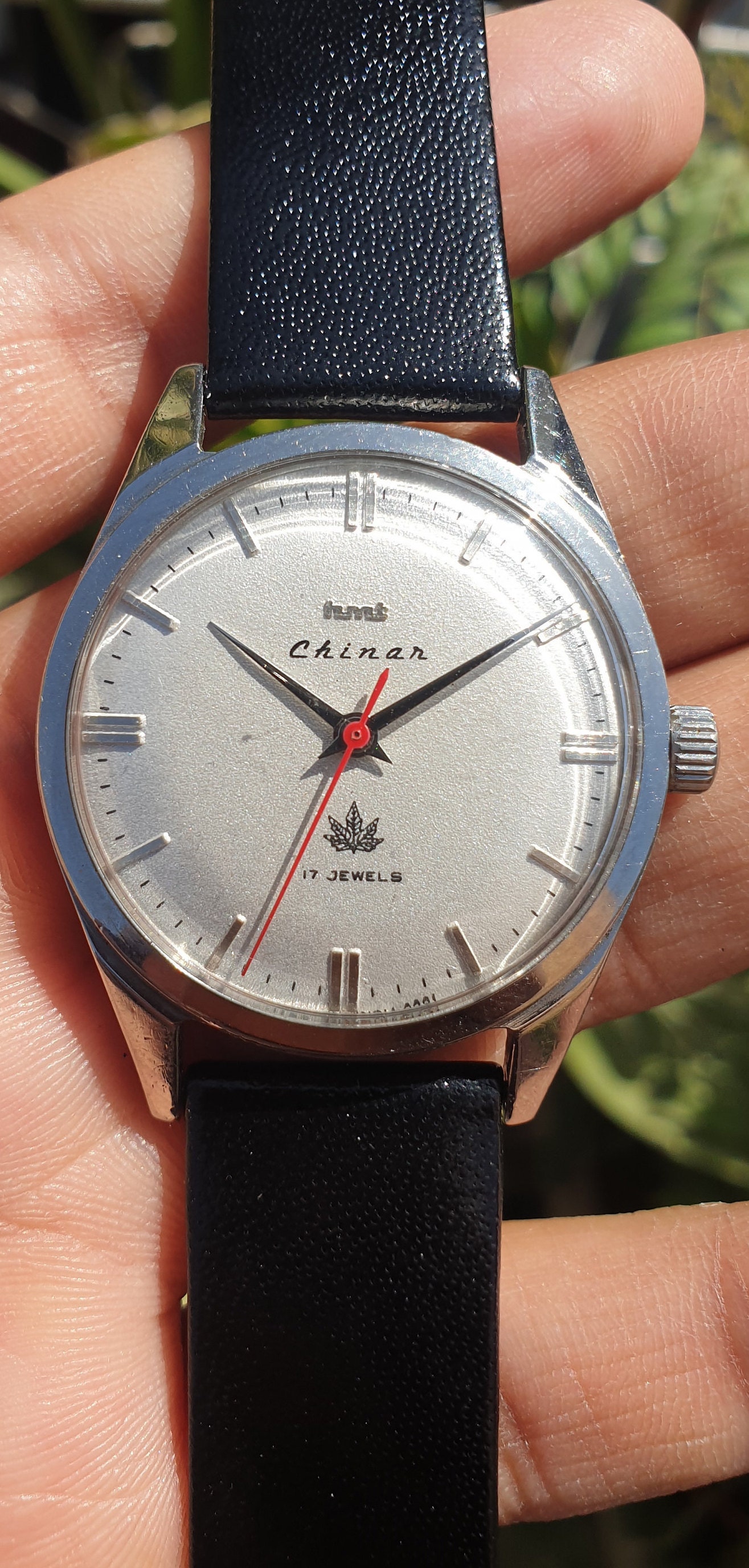Rare Hmt Chinar Leaf Silver Dial Manual Winding 17 Jewels - Etsy