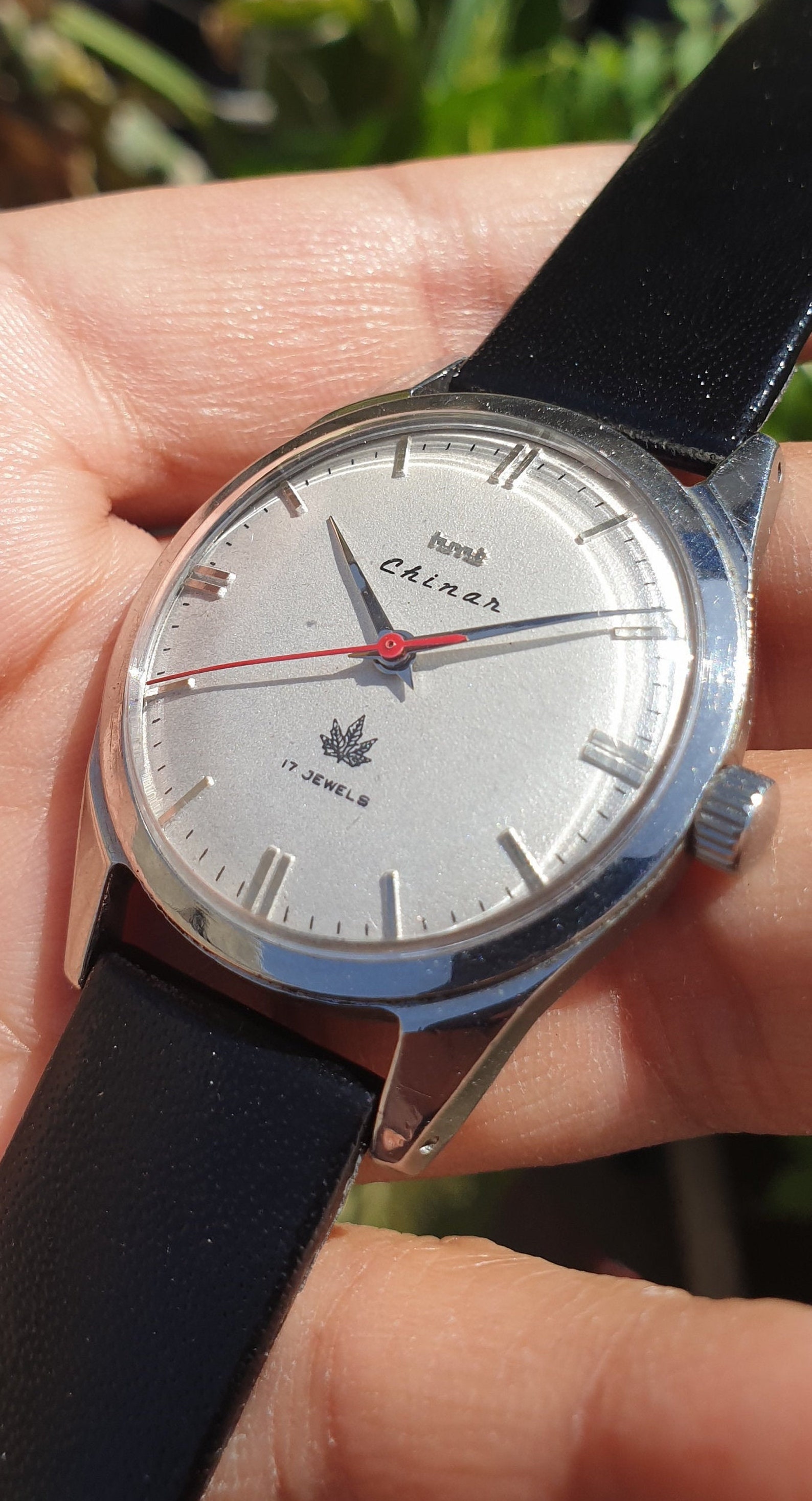 Rare Hmt Chinar Leaf Silver Dial Manual Winding 17 Jewels - Etsy