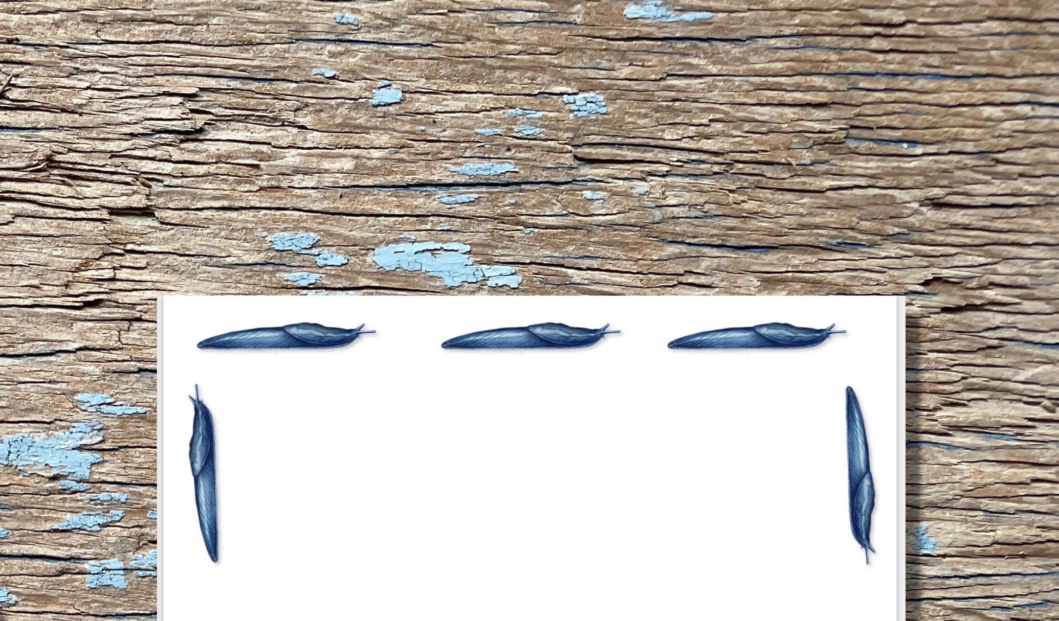 Blue Slug Printable Stationery Slug Parade Around the Page - Etsy