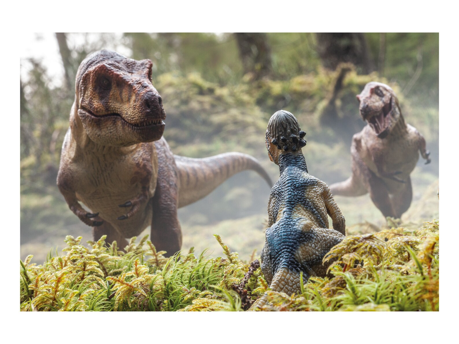 Tyrannosaurus Rex & Pachycephalosaurus Dinosaur Art Print - Etsy