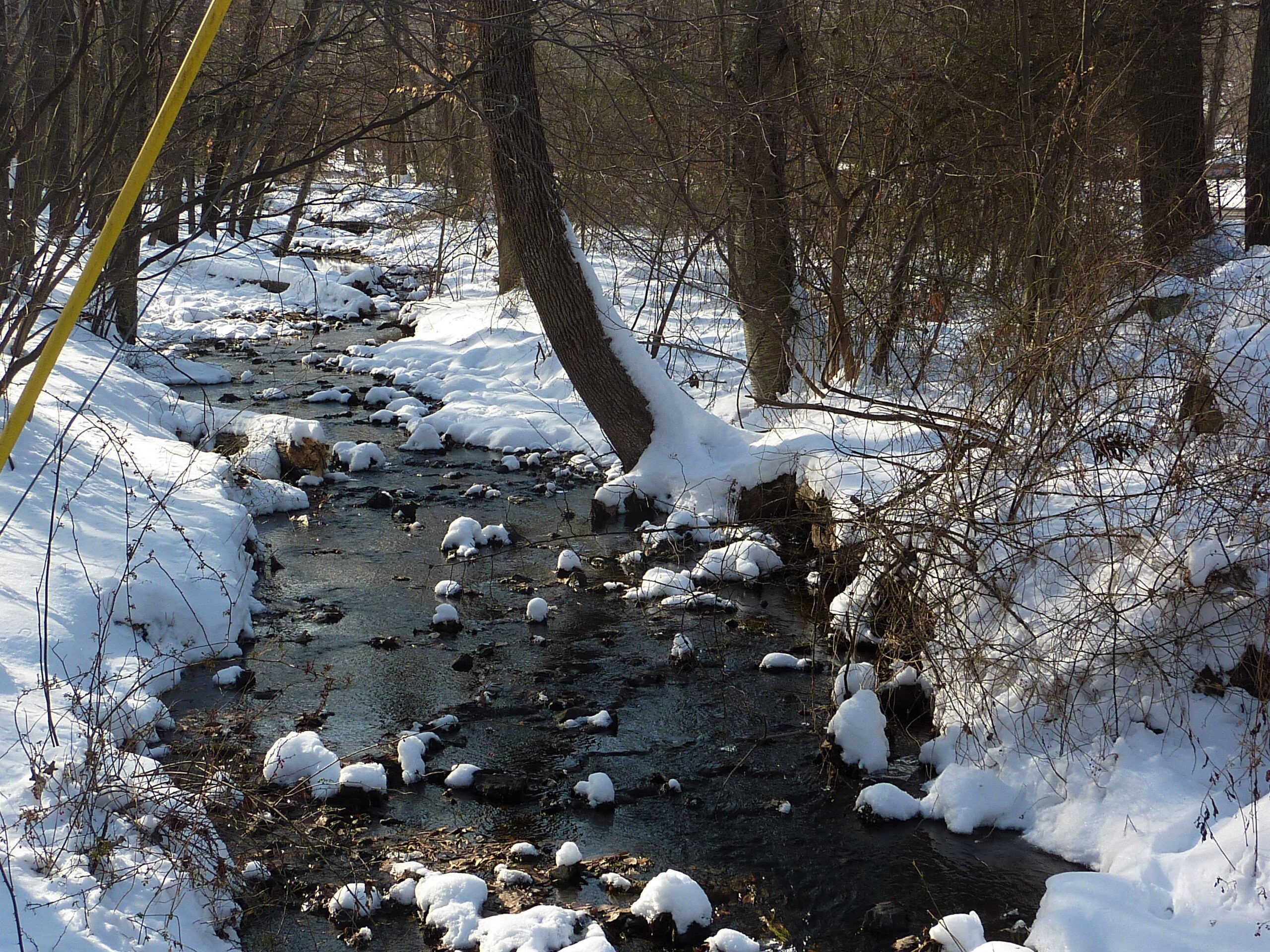 Digital Photo of Snow Covered Stream - Etsy