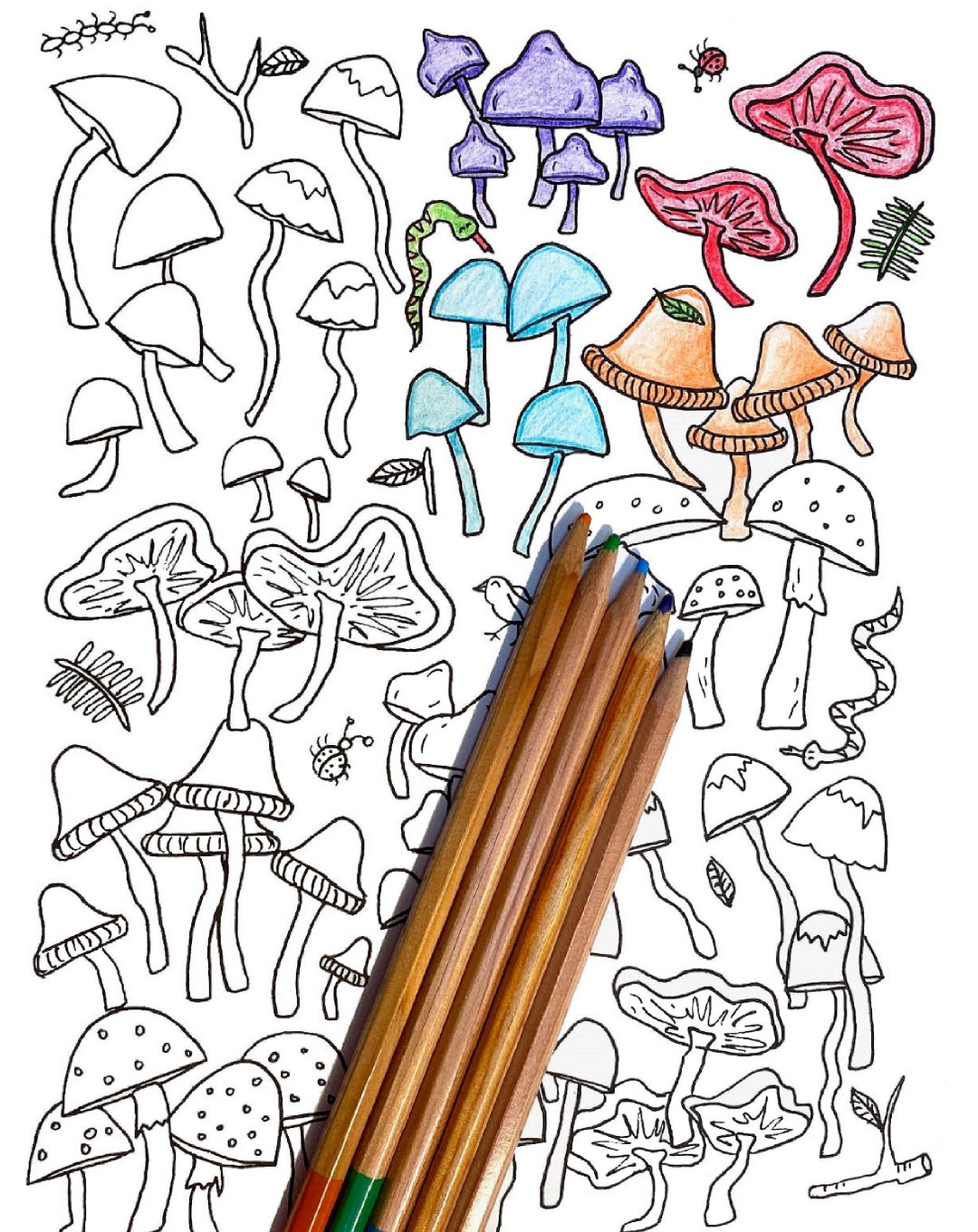 Mushroom Meadow Coloring Page Color Collage Pen Ink | Printable ...