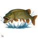 Musky Fish PNG Clipart Bundle: Muskellunge Fishing Illustration ...