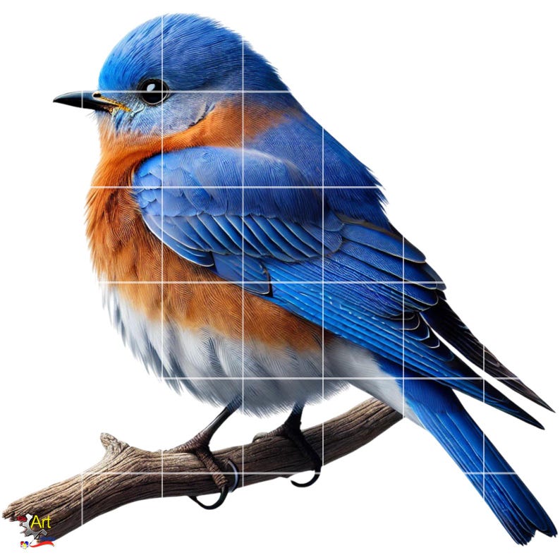 Bluebird Clipart PNG | 12 Bundle Images - Etsy