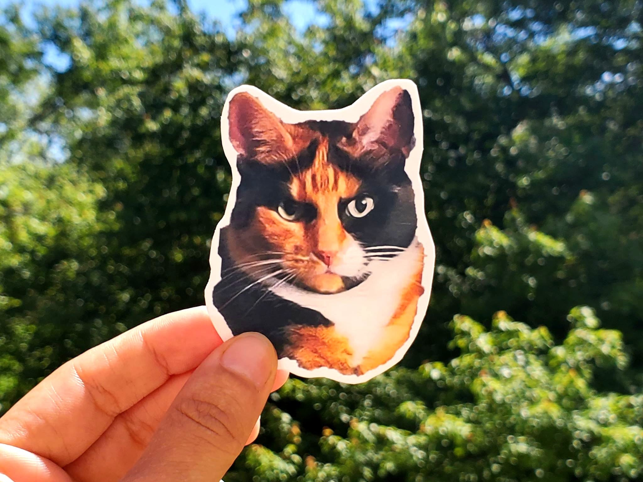 Grumpy Calico Cat Vinyl Sticker 2x3 Inches Cat Sticker for - Etsy