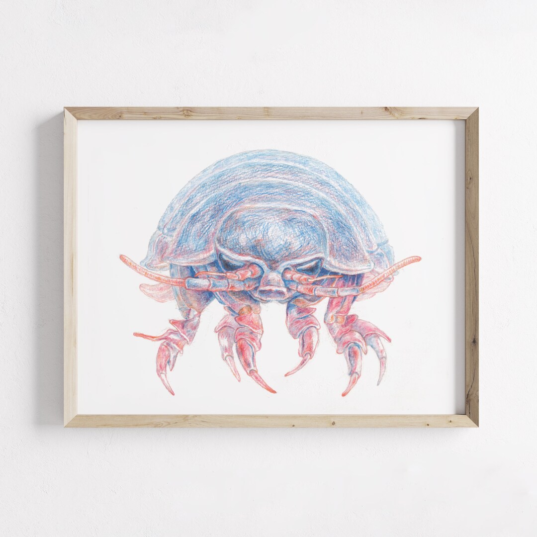 Giant Isopod,art Painting, Color Pencil, Healing Art, Neutral Size Wall ...