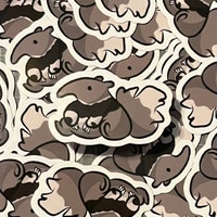 Anteater - Etsy