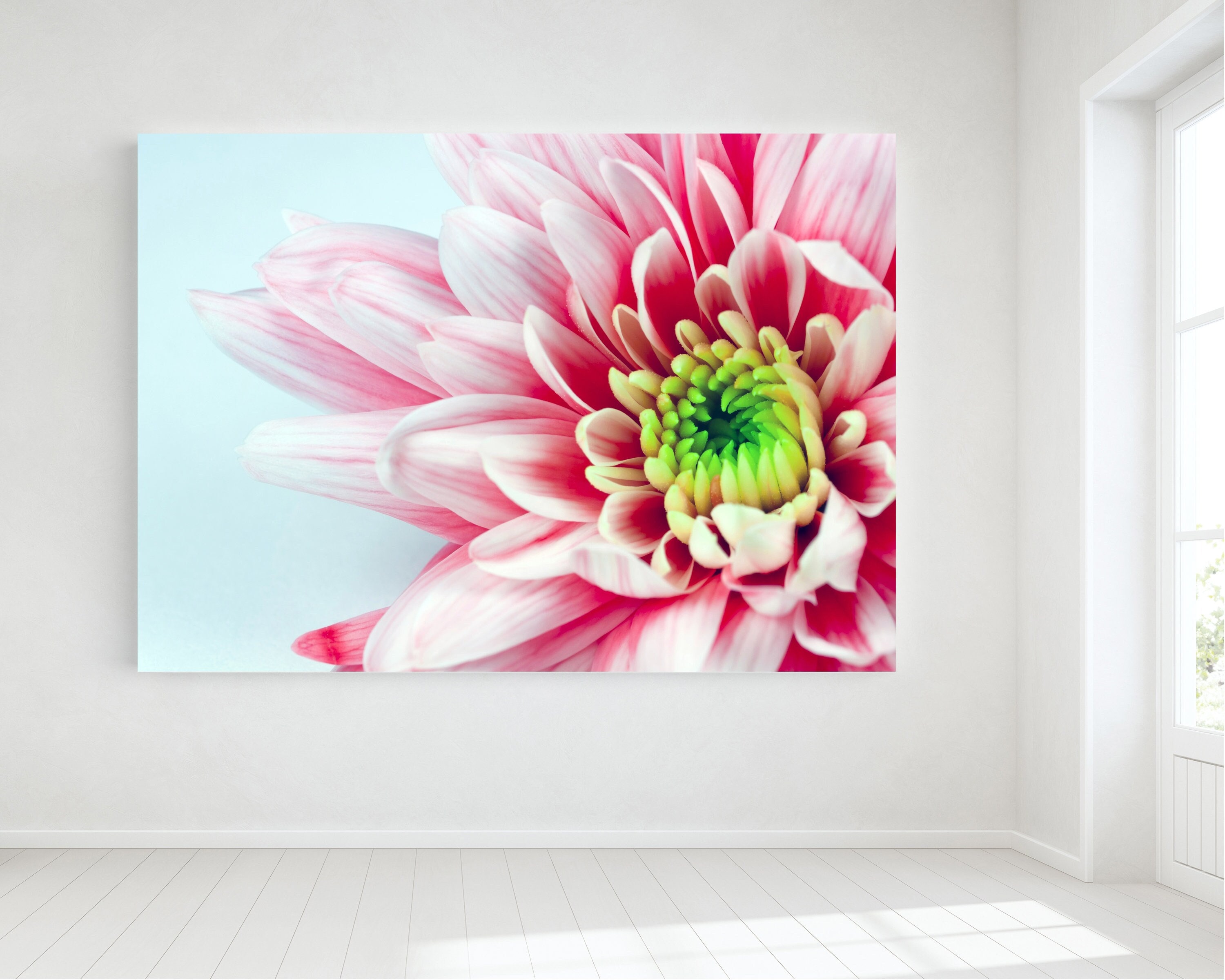 Pink Floral Wall Art, Large Canvas Art, Large Flower Photo, Pink and ...