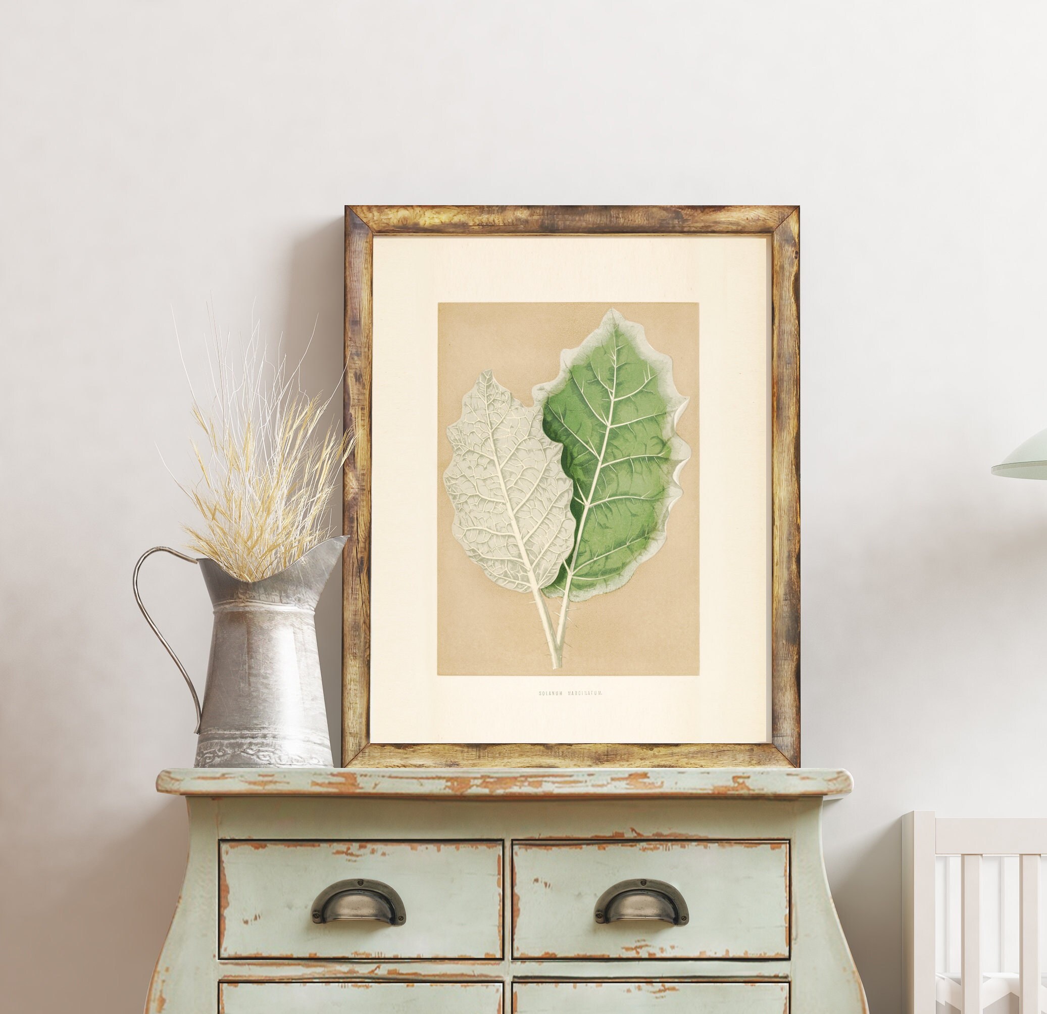 Nightshade Leaf Illustration, Fine Art Print, Vintage Leaf Art Print ...